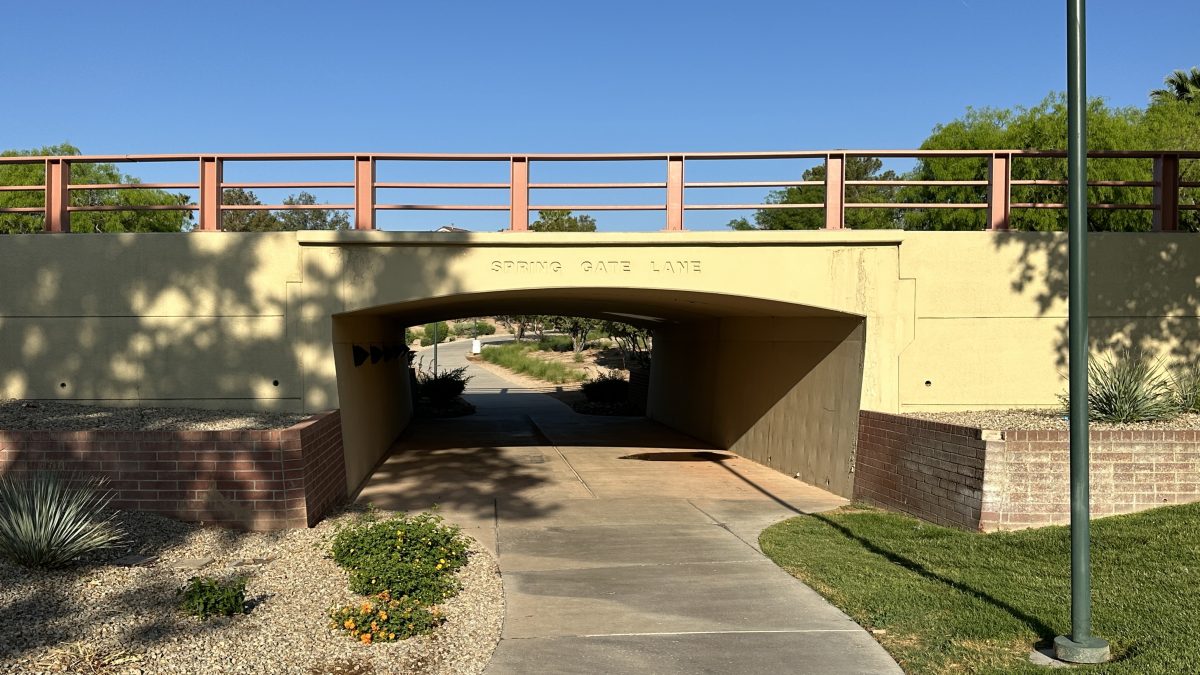 The Trails Park and Pool in Summerlin, Las Vegas